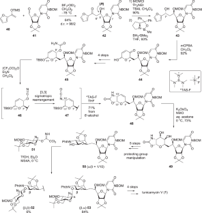 Tunicamycin: chemical synthesis and biosynthesis | The Journal of ...