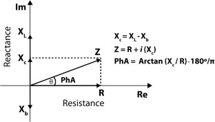 Physiology of exercise and phase angle: another look at BIA | European ...