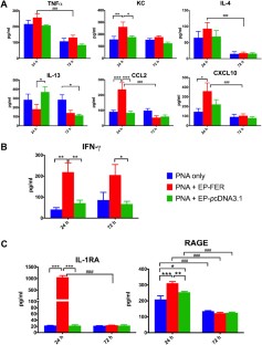 Electroporation-mediated delivery of FER gene enhances innate immune ...