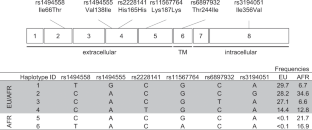 IL7RA genetic variants differentially affect IL-7Rα expression and ...