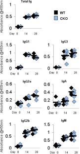 The lysine methyltransferase SMYD2 is required for normal lymphocyte ...