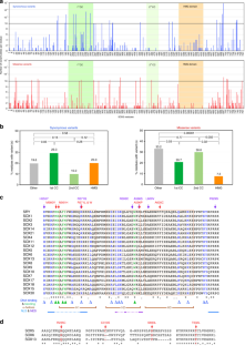 Widening of the genetic and clinical spectrum of Lamb–Shaffer syndrome ...