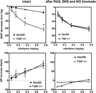 Exaggerated blood pressure response to fasudil or nifedipine in ...