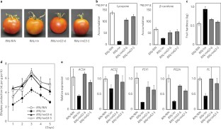 Re-evaluation of the rin mutation and the role of RIN in the induction ...
