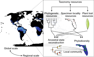 Biodiversity synthesis across the green branches of the tree of life ...