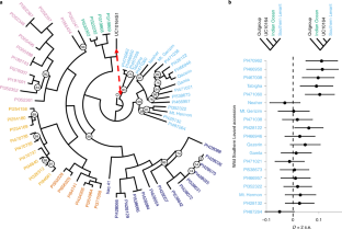 A 3,000-year-old Egyptian emmer wheat genome reveals dispersal and ...