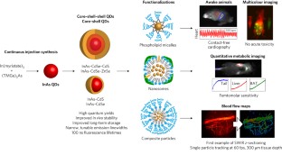 Next-generation in vivo optical imaging with short-wave infrared ...