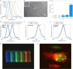 Next-generation in vivo optical imaging with short-wave infrared ...