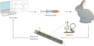 Drug delivery: Closed-loop dynamic dosing | Nature Biomedical Engineering