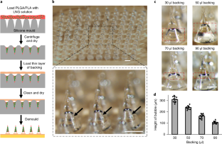 Rapidly separable microneedle patch for the sustained release of a ...