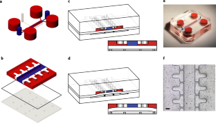 Hyperphysiological compression of articular cartilage induces an ...