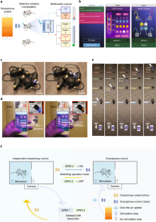 Wireless optofluidic brain probes for chronic neuropharmacology and ...