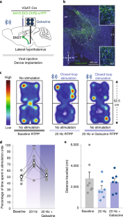 Wireless optofluidic brain probes for chronic neuropharmacology and ...