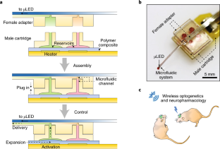 Multifunctional optofluidic brain probes | Nature Biomedical Engineering