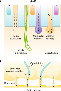 Multifunctional optofluidic brain probes | Nature Biomedical Engineering