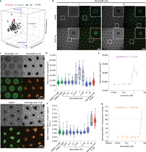 High-throughput automated organoid culture via stem-cell aggregation in ...