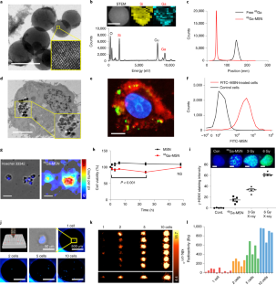 Whole-body tracking of single cells via positron emission tomography ...