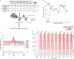 Single-cell multi-omics sequencing of human early embryos | Nature Cell ...