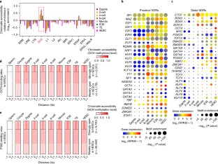 Single-cell multi-omics sequencing of human early embryos | Nature Cell ...