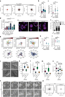 Fam49/CYRI interacts with Rac1 and locally suppresses protrusions ...