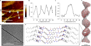 Braiding, branching and chiral amplification of nanofibres in ...