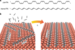 On-surface synthesis and characterization of individual polyacetylene ...