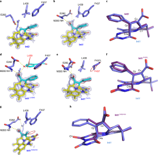 Enzymatic control of cycloadduct conformation ensures reversible 1,3 ...