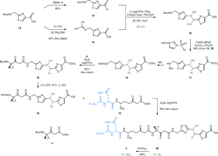 Synthesis and reactivity of precolibactin 886 | Nature Chemistry