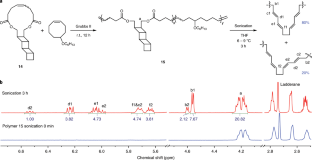 The cascade unzipping of ladderane reveals dynamic effects in ...