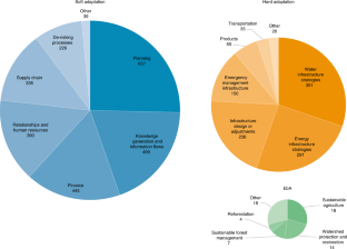 The private sector’s climate change risk and adaptation blind spots ...
