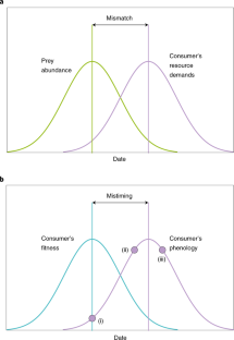 Evolutionary and demographic consequences of phenological mismatches ...