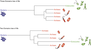 Evolutionary relationships between Archaea and eukaryotes | Nature ...