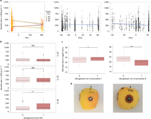 Hybridization and introgression drive genome evolution of Dutch elm ...