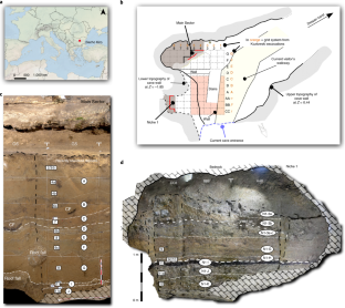 A 14 C chronology for the Middle to Upper Palaeolithic transition at ...
