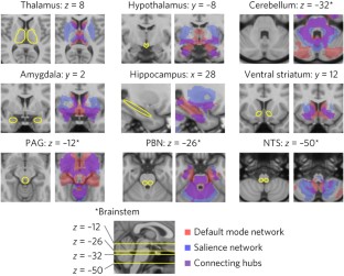 Evidence for a large-scale brain system supporting allostasis and ...