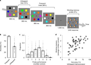 Real-time triggering reveals concurrent lapses of attention and working ...