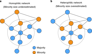 Homophily and minority-group size explain perception biases in social ...