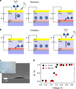 Magneto-ionic control of magnetism using a solid-state proton pump | Nature Materials