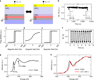 Magneto-ionic control of magnetism using a solid-state proton pump | Nature Materials