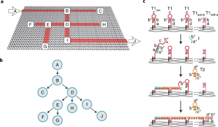 Navigating through a maze | Nature Materials