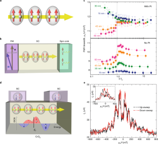 Spin current as a probe of quantum materials | Nature Materials