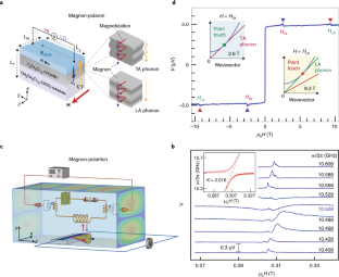 Spin current as a probe of quantum materials | Nature Materials