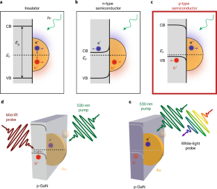 Ultrafast hot-hole injection modifies hot-electron dynamics in Au/p-GaN heterostructures ...