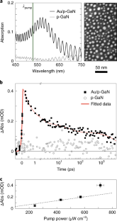 Ultrafast hot-hole injection modifies hot-electron dynamics in Au/p-GaN heterostructures ...