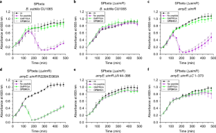 Structural basis of the arbitrium peptide–AimR communication system in ...