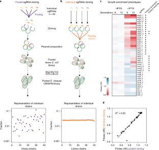 Enabling genetic analysis of diverse bacteria with Mobile-CRISPRi ...