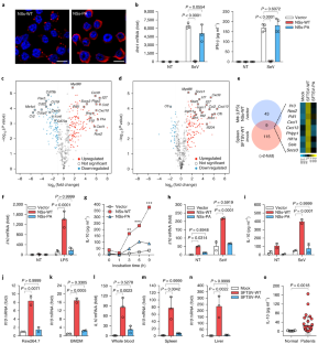 Severe fever with thrombocytopenia syndrome phlebovirus non-structural ...