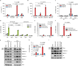 Severe fever with thrombocytopenia syndrome phlebovirus non-structural ...