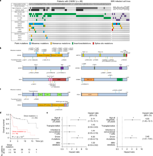 Defective Epstein–Barr virus in chronic active infection and ...