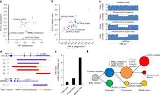 Defective Epstein–Barr virus in chronic active infection and ...